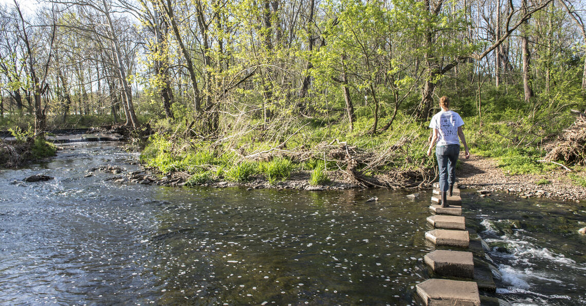 Things to Consider Before Getting in the Wissahickon Creek