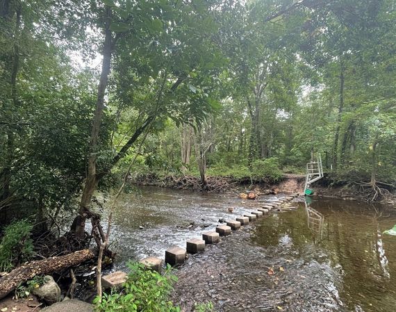 Four Mills Nature Reserve